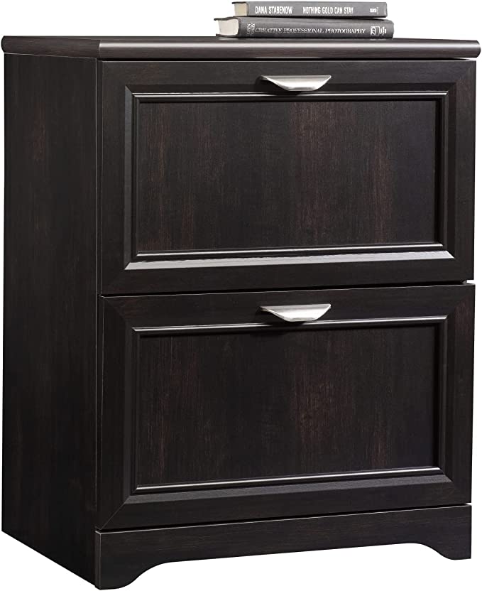 Realspace Magellan 24 W Lateral 2-Drawer File Cabinet 547758 - Espress ...