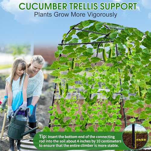 Lalahoni Garden Arch Trellis 7 ft Tall Walkway Metal Archway Arbor - B ...